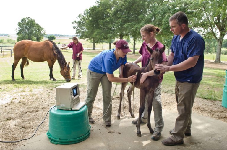 eValue and MedHub case studies and success stories - MedHub
